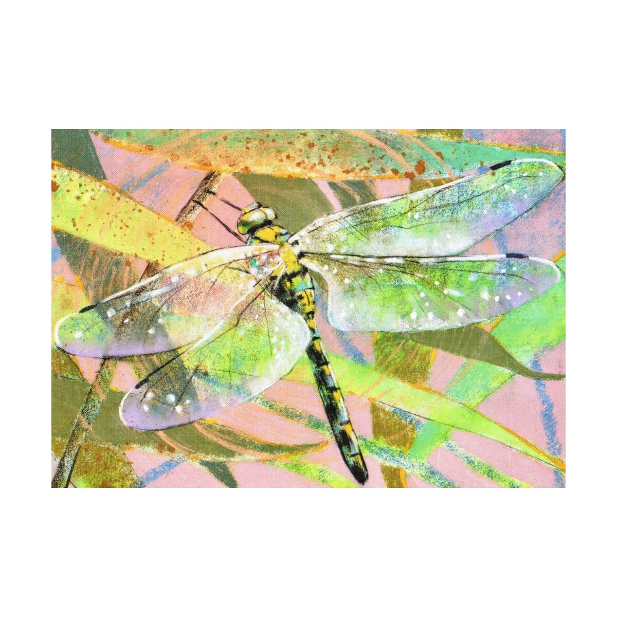 Loes Botman. Libelle, 1,30